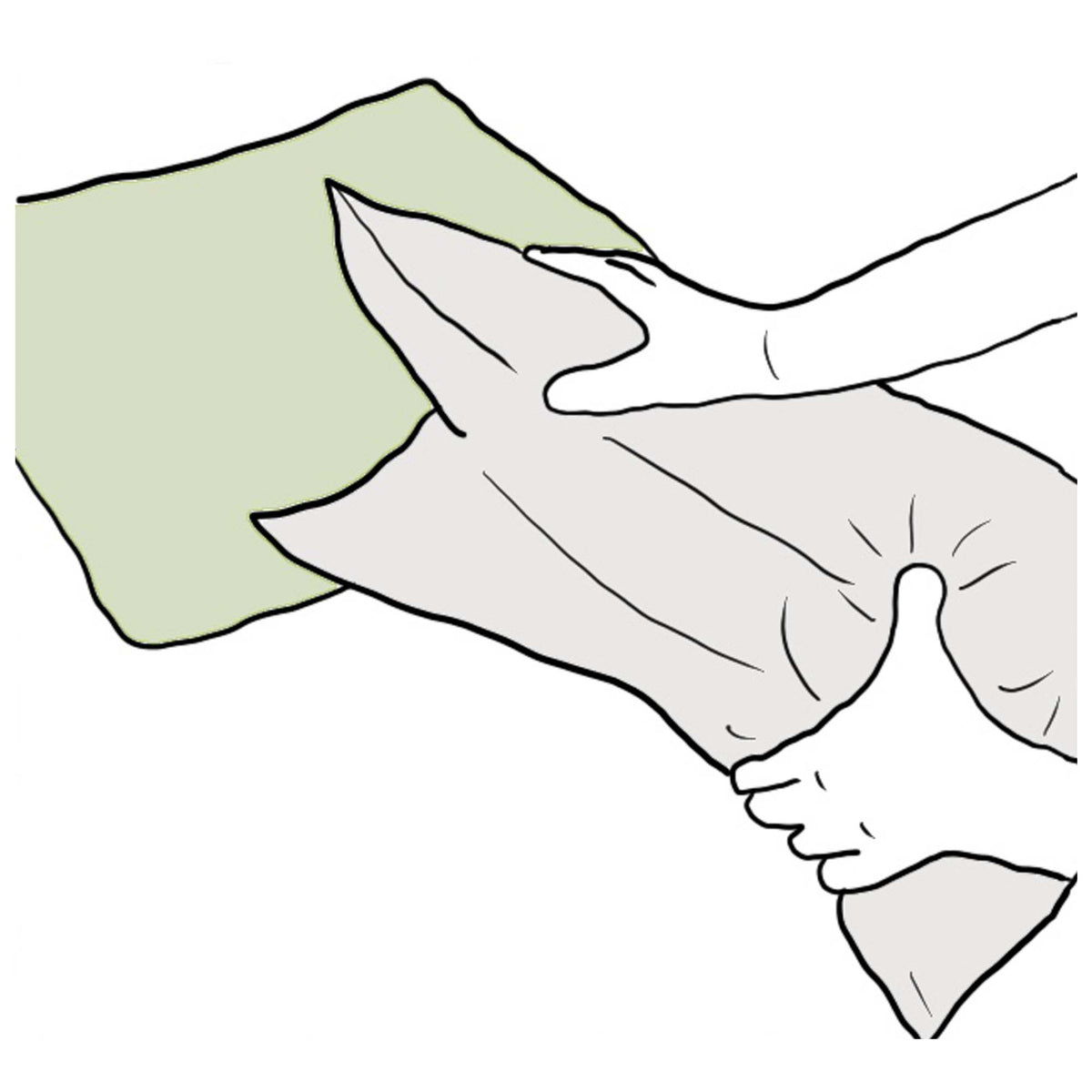 Chloe and Olive Pillow Inserts - Chloe & Olive